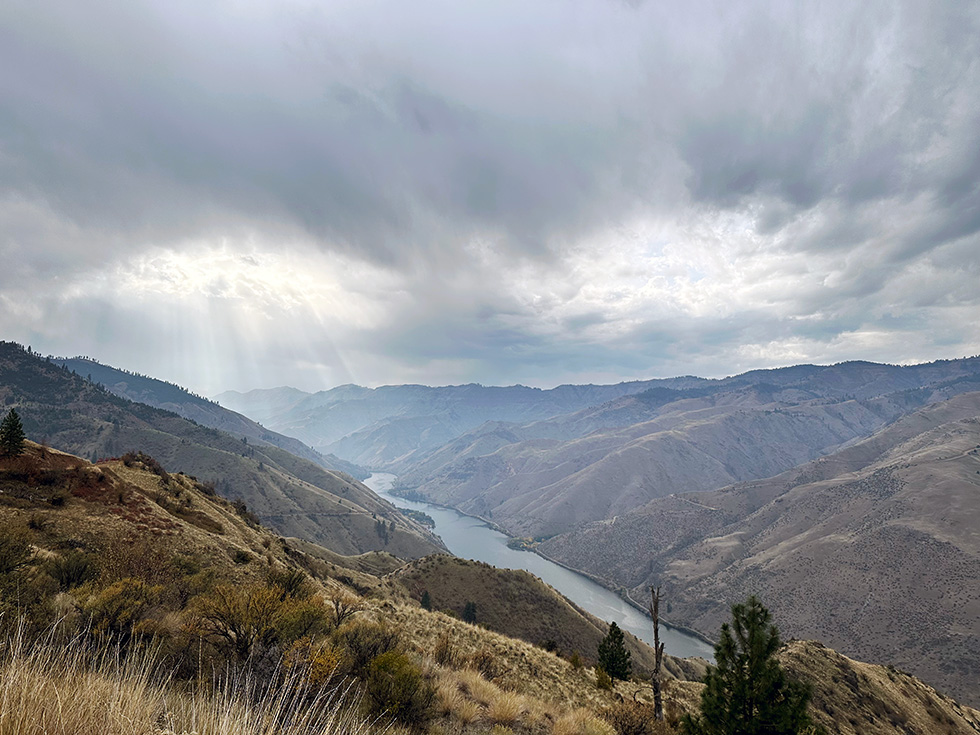 Freeze - IDEX Metals