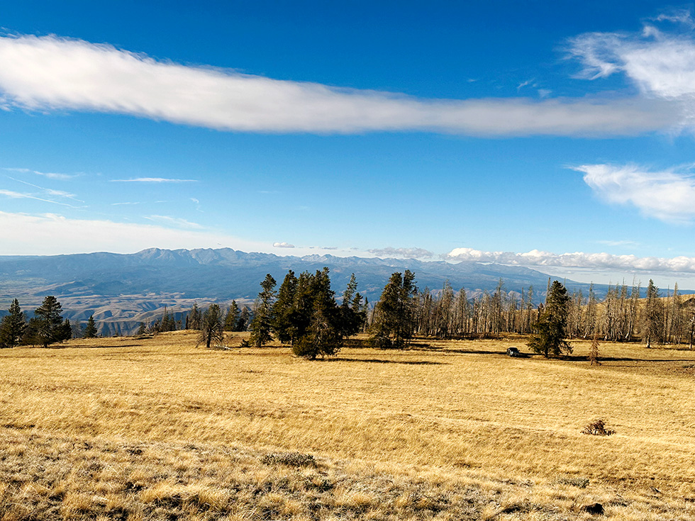 Freeze - IDEX Metals